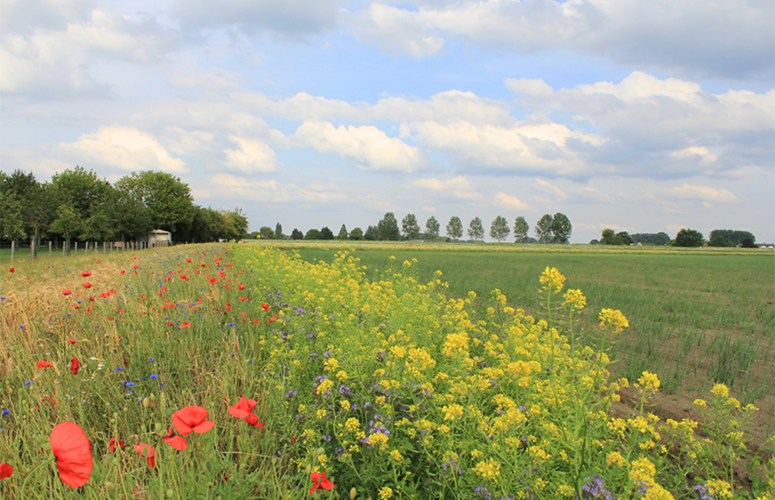 Working conference 'Working together on resilient agriculture and ...